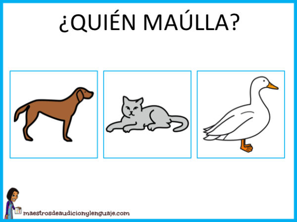 JUGAMOS A ADIVINAR LA RESPUESTA CORRECTA: ¿QUIÉN ES QUIÉN? ANIMALES ...